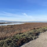 Alviso Slough Trail, California - 960 Reviews, Map | AllTrails