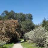 Dave Moore Nature Trail, California - 391 Reviews, Map | AllTrails