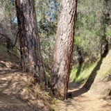 Dave Moore Nature Trail, California - 391 Reviews, Map | AllTrails