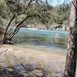 Dave Moore Nature Trail, California - 391 Reviews, Map | AllTrails