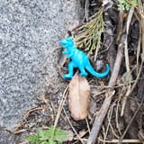 Dave Moore Nature Trail, California - 391 Reviews, Map | AllTrails