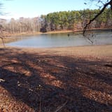 Herb Parsons Lake Green Trail, Tennessee - 830 Reviews, Map | AllTrails