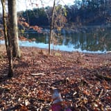 Herb Parsons Lake Green Trail, Tennessee - 830 Reviews, Map | AllTrails