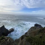 Cape Falcon Trail, Oregon - 3,567 Reviews, Map | AllTrails