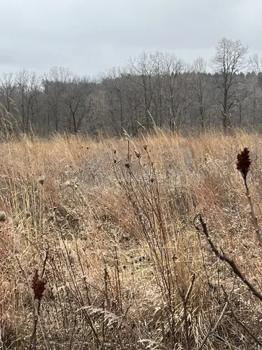 Best Hikes and Trails in Sharon Mills County Park | AllTrails