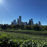 White Oak Bayou Greenway, Texas - 281 Reviews, Map | AllTrails