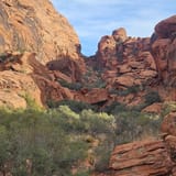 Guardian Angel Pass, Nevada - 1,705 Reviews, Map | AllTrails