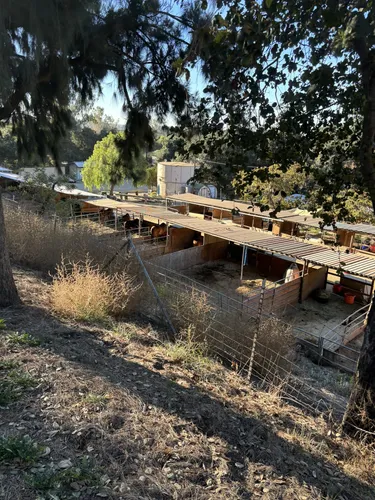 Best Hikes and Trails in San Dimas Canyon Community Regional Park ...