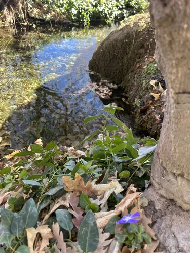 Best Hikes and Trails in Carlito Springs Open Space Loop | AllTrails