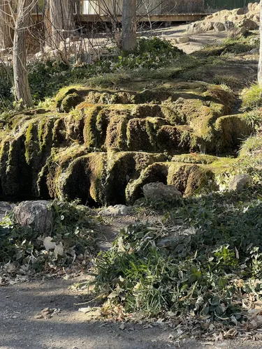 Best Hikes and Trails in Carlito Springs Open Space Loop | AllTrails