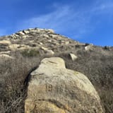 Box Springs Mountain, California - 364 Reviews, Map | AllTrails