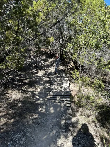 Best 10 Hiking Trails in Pace Bend Park | AllTrails