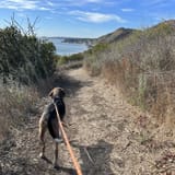 Corral Canyon Loop, California - 1,634 Reviews, Map | AllTrails