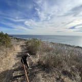 Corral Canyon Loop, California - 1,634 Reviews, Map | AllTrails