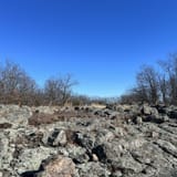 Buford Mountain Trail, Missouri - 590 Reviews, Map | AllTrails