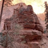 Middle Fork Taylor Creek Trail, Utah - 2,956 Reviews, Map | AllTrails