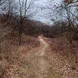 Gander Mountain Loop Trail, Illinois - 467 Reviews, Map | AllTrails