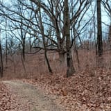 Gander Mountain Loop Trail, Illinois - 514 Reviews, Map | AllTrails