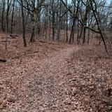 Gander Mountain Loop Trail, Illinois - 514 Reviews, Map | AllTrails