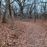 Gander Mountain Loop Trail, Illinois - 514 Reviews, Map | AllTrails