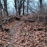 Gander Mountain Loop Trail, Illinois - 514 Reviews, Map | AllTrails