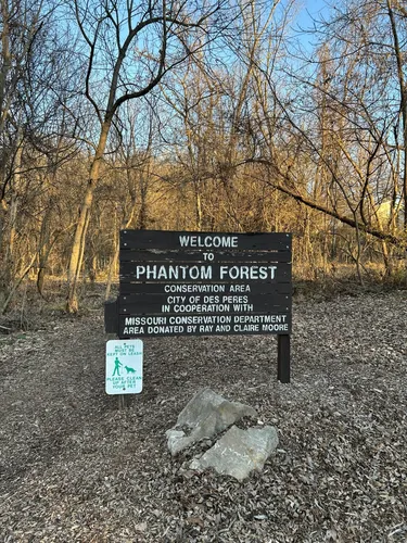 Best Hikes and Trails in Phantom Forest Conservation Area | AllTrails