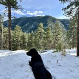 Lefthand Canyon Trail, Colorado - 485 Reviews, Map | AllTrails