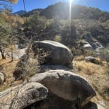 Proctor Road Nature Trail, Arizona - 326 Reviews, Map | AllTrails