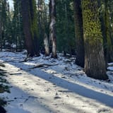 Four Mile Trail, California - 3,492 Reviews, Map | AllTrails