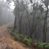 Mount Everard Track, Victoria, Australia - 22 Reviews, Map | AllTrails