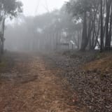 Mount Everard Track, Victoria, Australia - 22 Reviews, Map | AllTrails