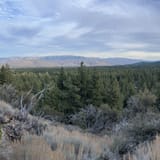 Jones Creek Loop, Nevada - 1,180 Reviews, Map | AllTrails