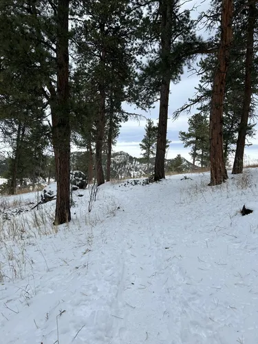 Best Hikes and Trails in Meyer Ranch Park | AllTrails