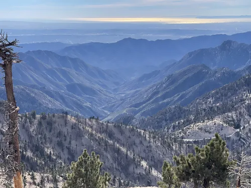 Best Walking Trails in Pearblossom | AllTrails