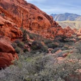 Guardian Angel Pass, Nevada - 1,705 Reviews, Map | AllTrails