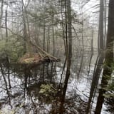 Lake Awosting via Reserve Access and Purple Loop, New York - 356 ...