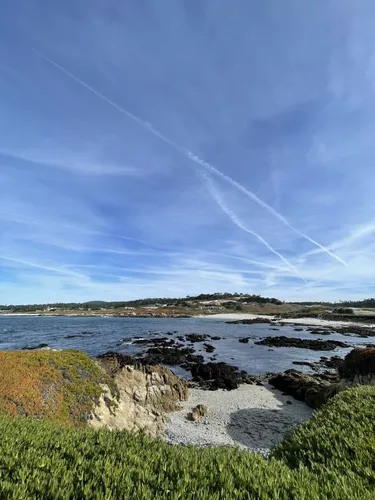 10 Best Trails and Hikes in Monterey | AllTrails
