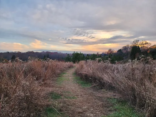 Best Hikes and Trails in Clemson | AllTrails