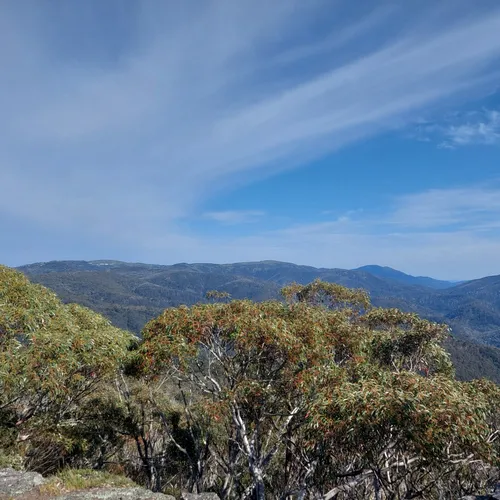 Best Easy Trails in Alpine National Park | AllTrails