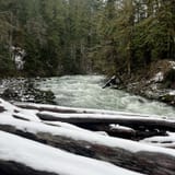 Staircase Rapids Loop, Washington - 2,370 Reviews, Map | AllTrails