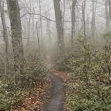 Cook's Wall Trail, North Carolina - 445 Reviews, Map | AllTrails