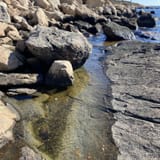 Bluff Point State Park and Coastal Reserve Trail, Connecticut - 3,383 ...