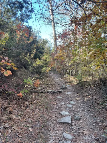 Best Hikes and Trails in Dripping Springs | AllTrails