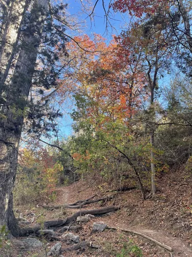 Best Hikes and Trails in Dripping Springs | AllTrails