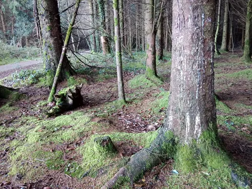 Best Walking Trails in Gorey | AllTrails