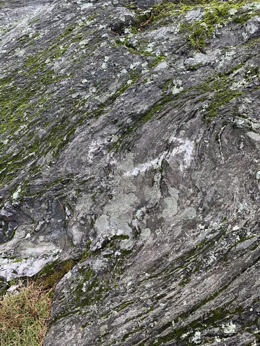 Best Hikes and Trails in Mount Everett State Reservation | AllTrails