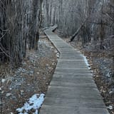 Convict Lake Loop, California - 1,913 Reviews, Map | AllTrails