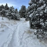 Eagle's View Trail Loop, Colorado - 2,924 Reviews, Map | AllTrails