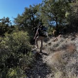 Haunted Canyon Trail to Toney Ranch, Arizona - 366 Reviews, Map | AllTrails