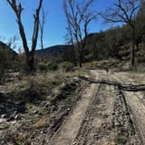 Haunted Canyon Trail to Toney Ranch, Arizona - 367 Reviews, Map | AllTrails